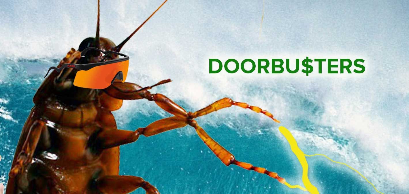 5 Black Friday Deals for Cockroach Lovers